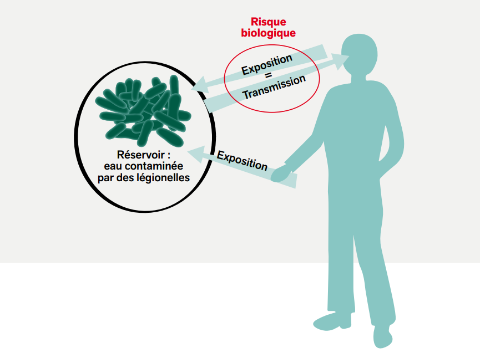 Risques biologiques. Comment évaluer les risques biologiques ...