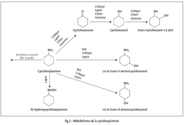 Cyclohexylamine (FT 230). Pathologie - Toxicologie - Fiche ...