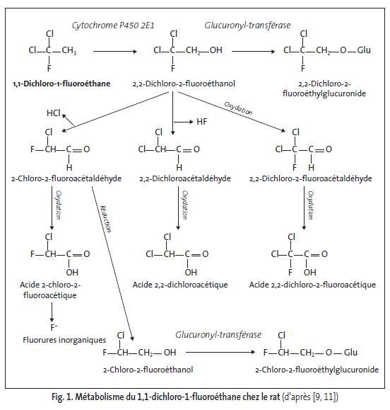 1,1-Dichloro-1-fluoroéthane (FT 234). Pathologie - Toxicologie - Fiche ...
