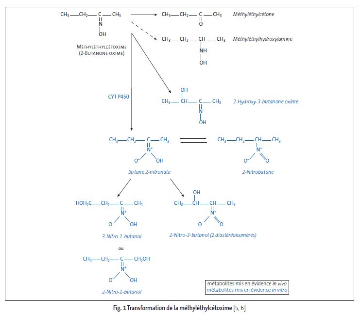 2-Butanone oxime (FT 257). Pathologie - Toxicologie - Fiche toxicologique - INRS