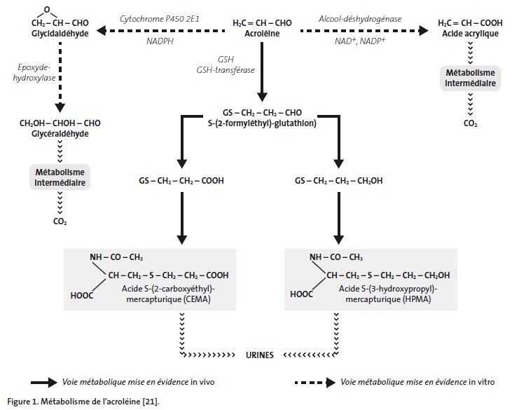 Acroléine (FT 57). Pathologie - Toxicologie - Fiche toxicologique - INRS